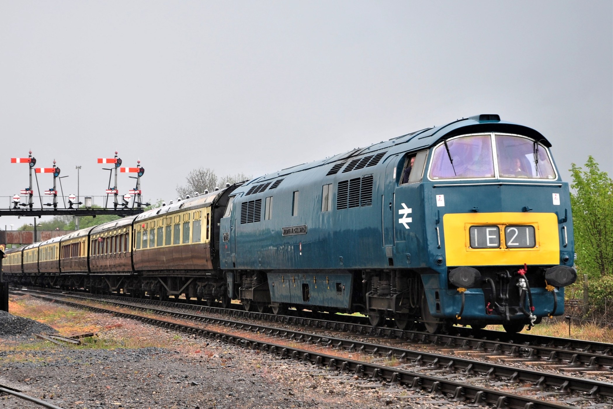 D1015 tour program for 2025 | RailUK Forums